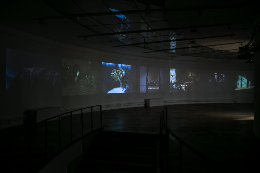 The Interior Is The Mirror Of A Character Stop Motion Animation