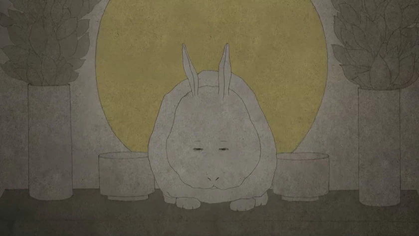 Shorts Corner | Zippy Frames